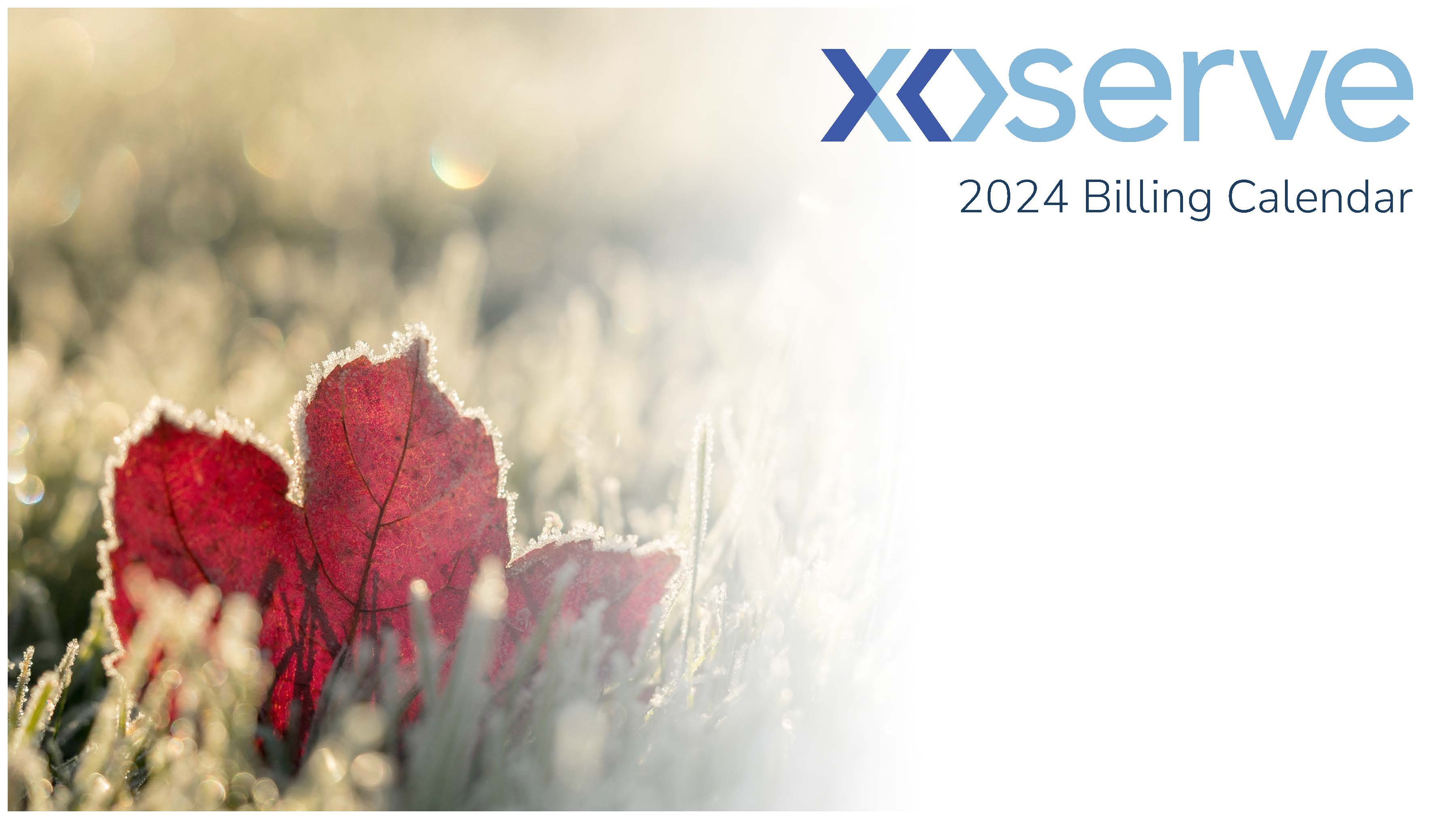 Invoice type, charges & VAT