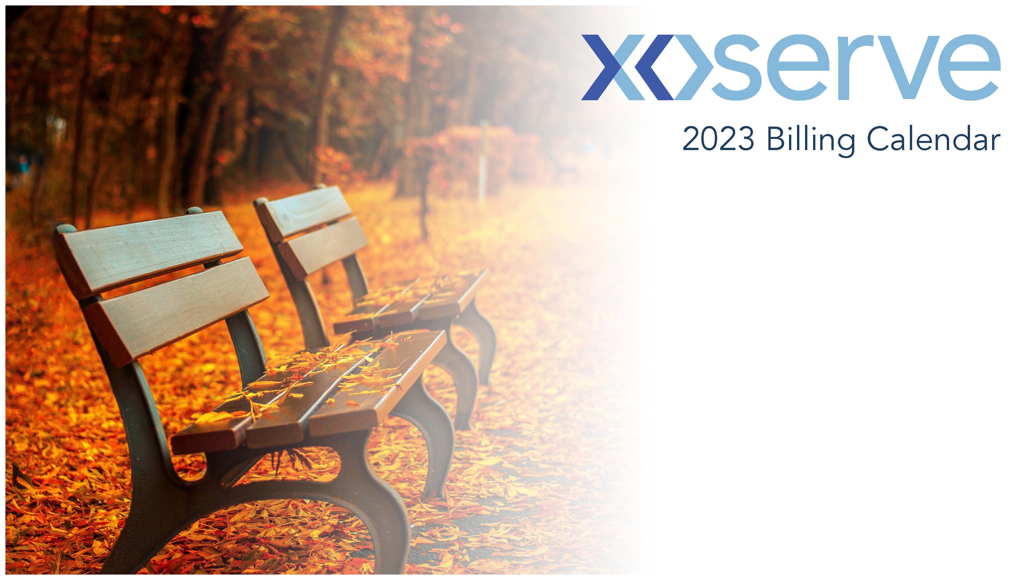 Invoice type, charges & VAT